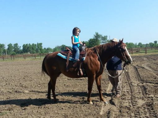 campkid - Blue Sky Ranch